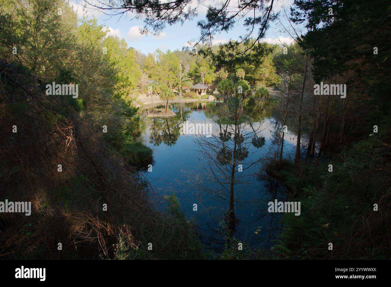 Editorial Use Only December 20, 2024. Williston, Florida, USA. High ...