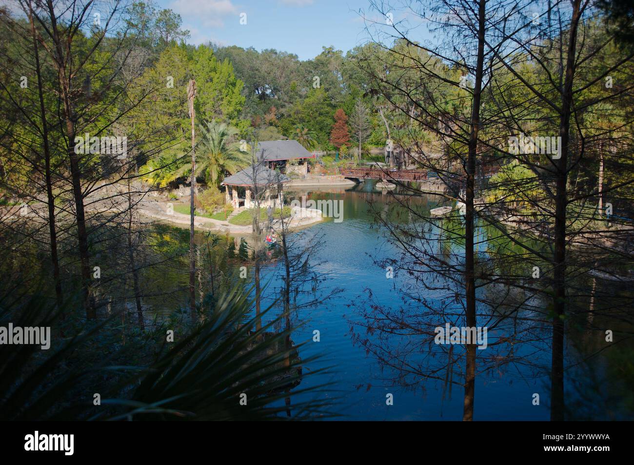 Editorial Use Only December 20, 2024. Williston, Florida, USA. High ...