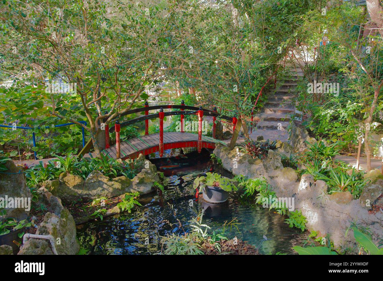 Wide View towards red and black curved footbridge over water and lush ...