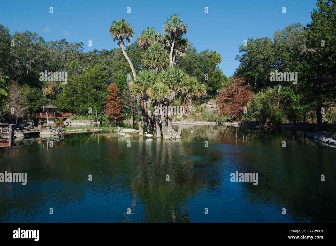 Editorial Use Only December 20, 2024. Williston, Florida, USA. High ...