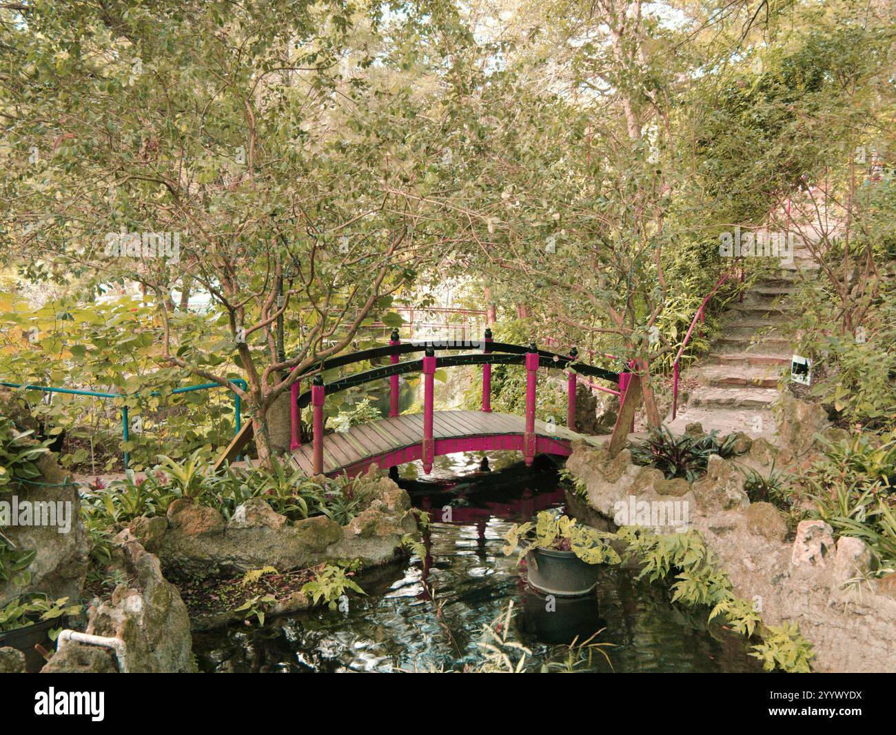 Wide View towards red and black curved footbridge over water and lush ...