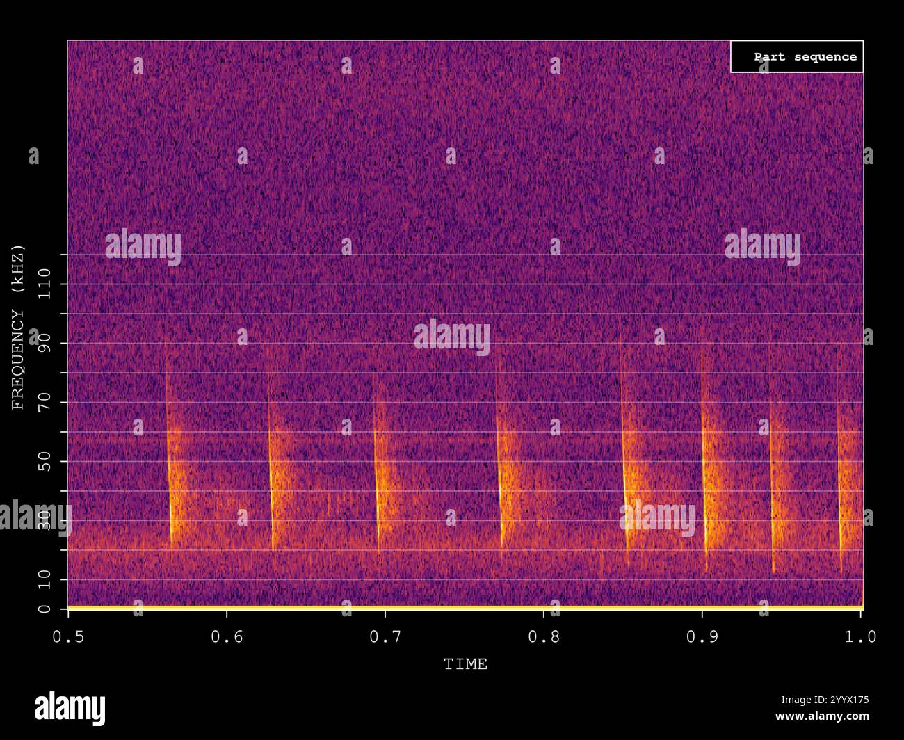 Natterer's Bat (Myotis nattereri Stock Photo - Alamy