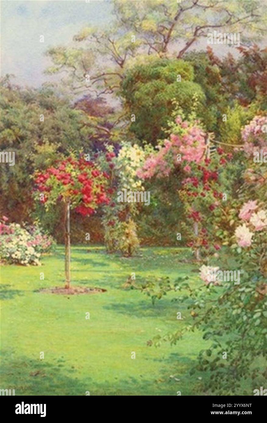 Edith helena adie hi-res stock photography and images - Alamy