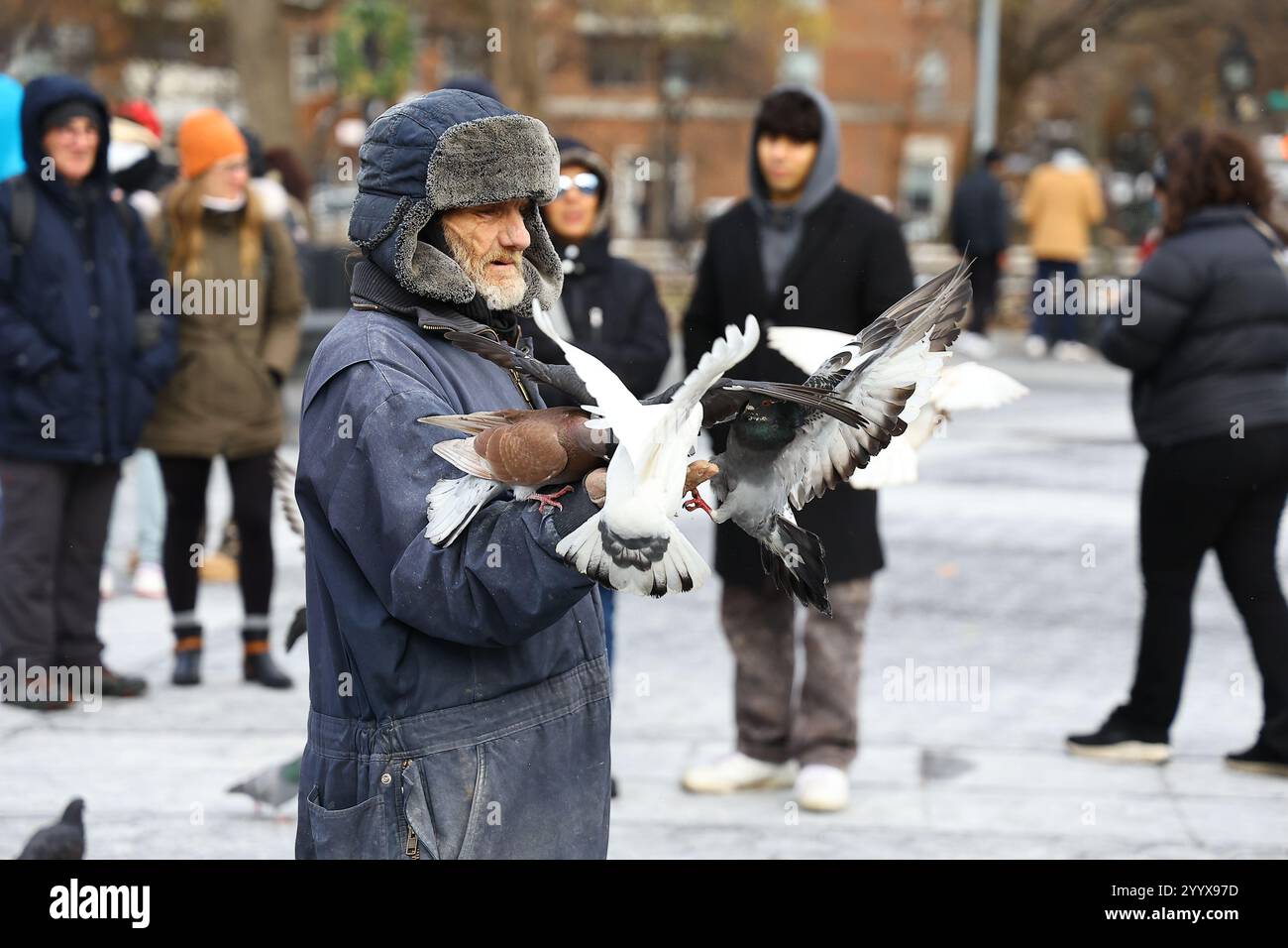 Larry the Birdman interacts with pigeons and people in Washington ...
