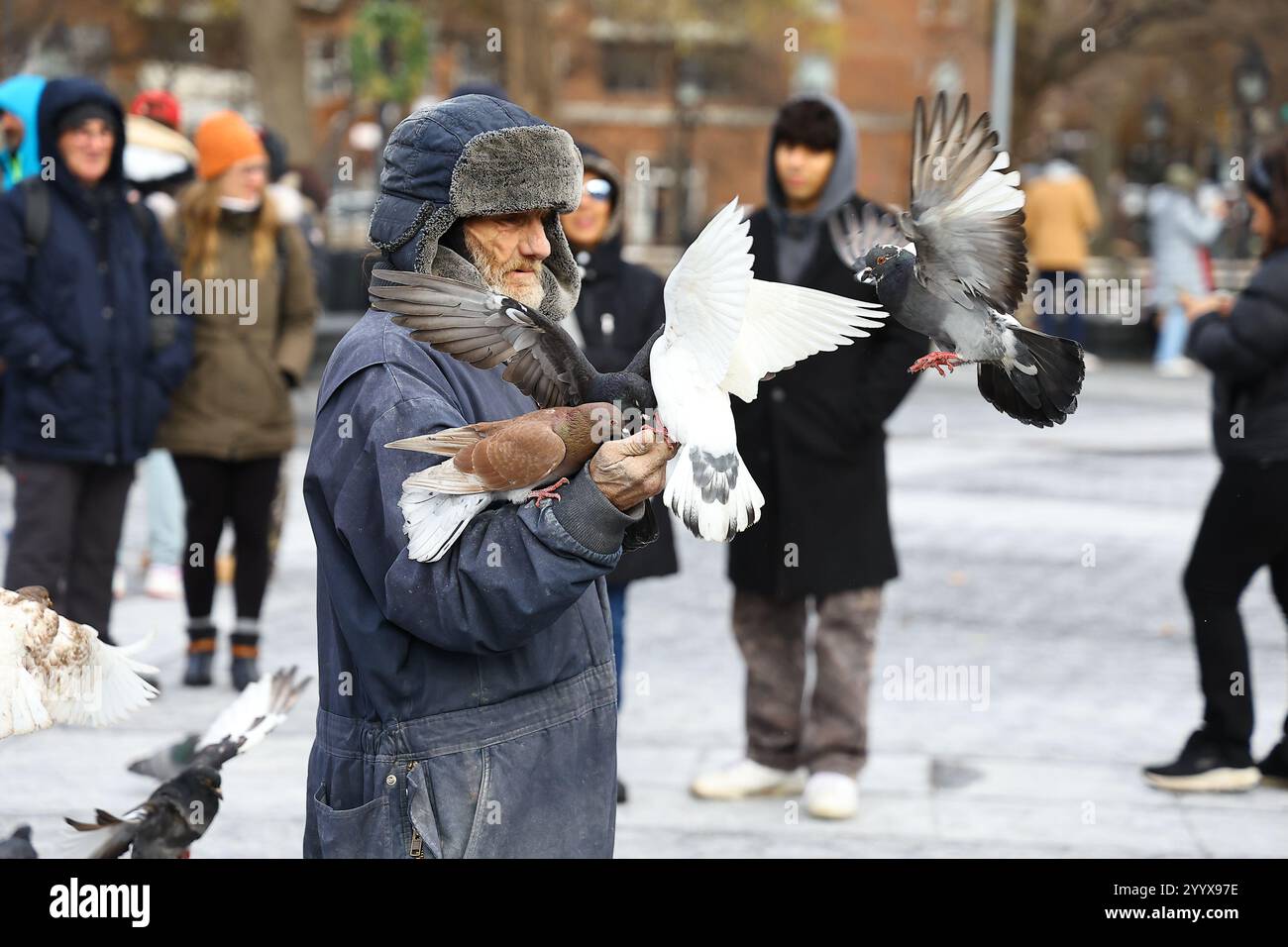Larry the Birdman interacts with pigeons and people in Washington ...