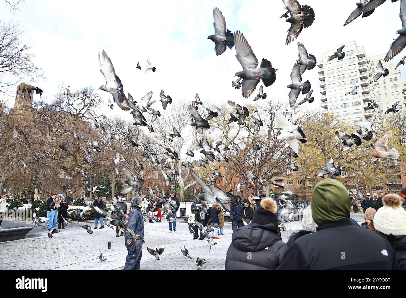 Larry the Birdman interacts with pigeons and people in Washington ...
