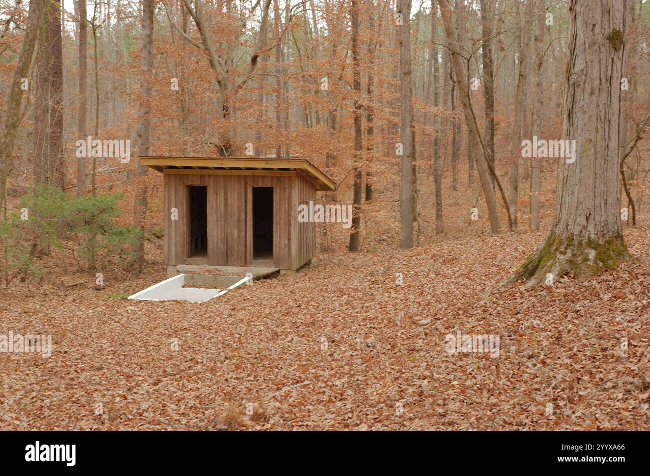 Old outside in the woods an in-ground spring fed white baptistry. Small ...