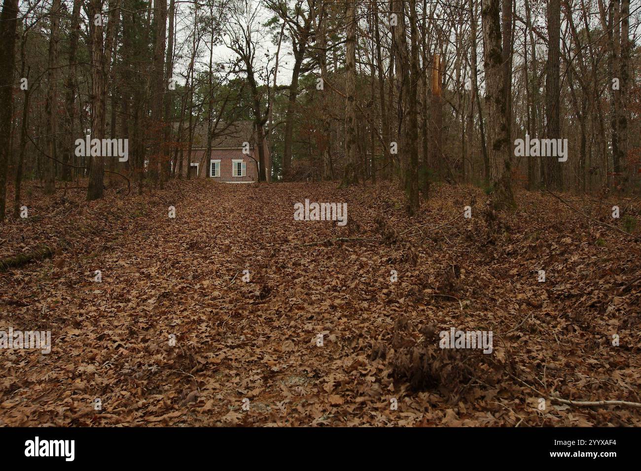 Editorial Use Only, December 19, 2024. Appling GA, USA. Old Kiokee ...