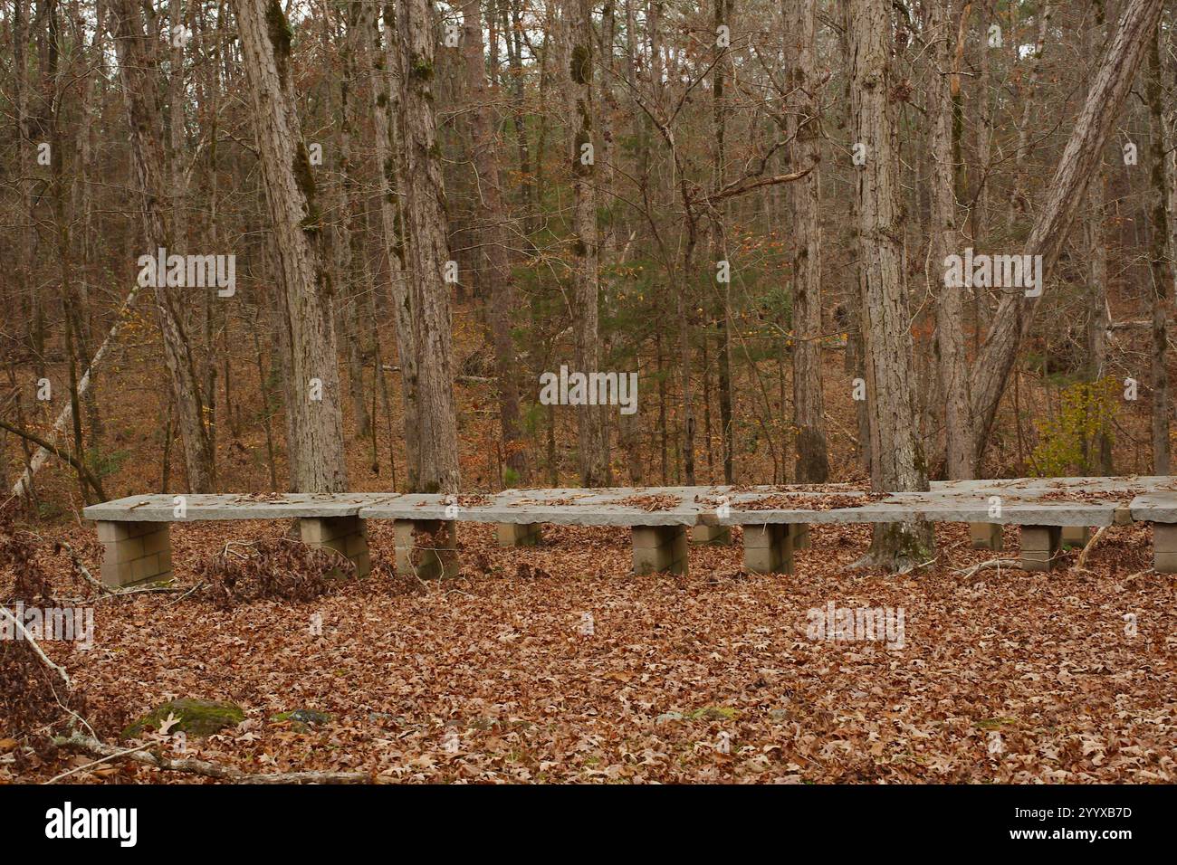 Old fashioned wooden bench seats hi-res stock photography and images ...