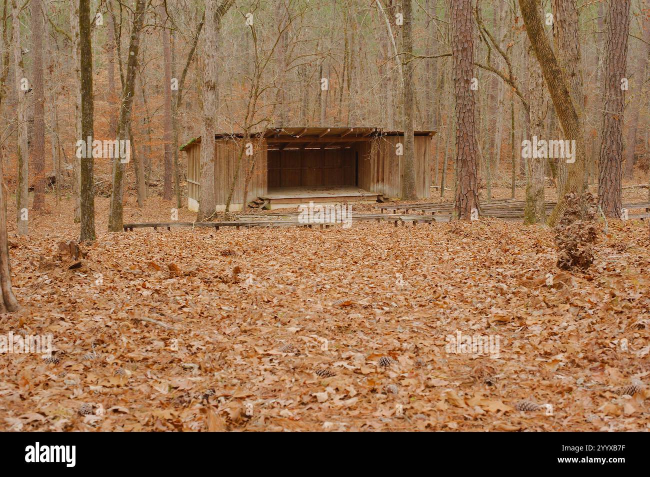 Old wood covered stage hi-res stock photography and images - Alamy