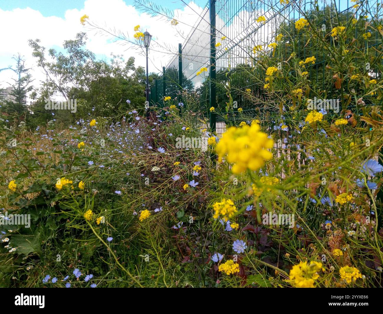 False london rocket hi-res stock photography and images - Alamy