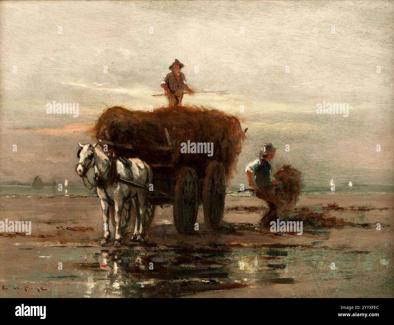 Edward A. Page - Seaweed Harvesting Stock Photo - Alamy