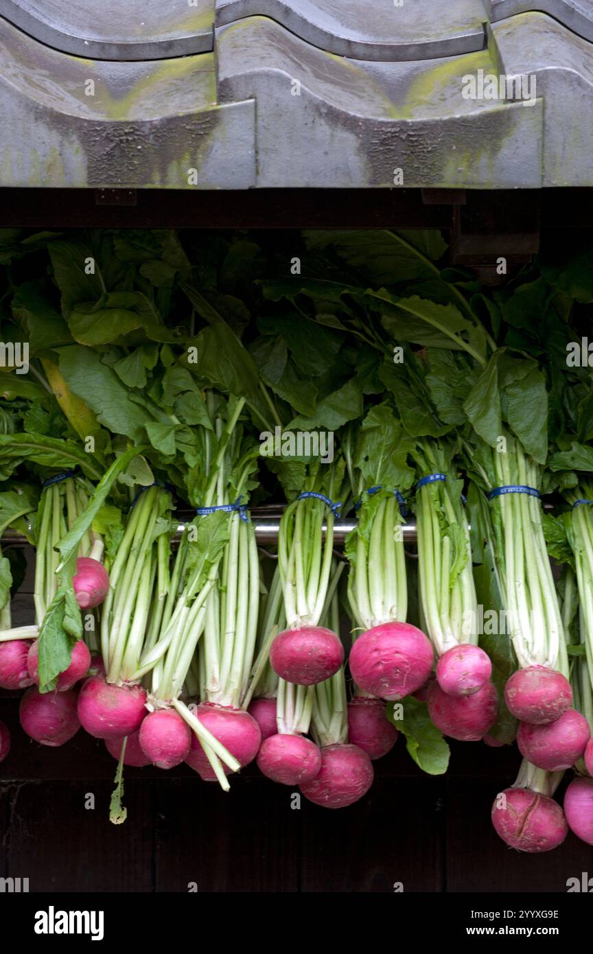 Drying turnip hi-res stock photography and images - Alamy
