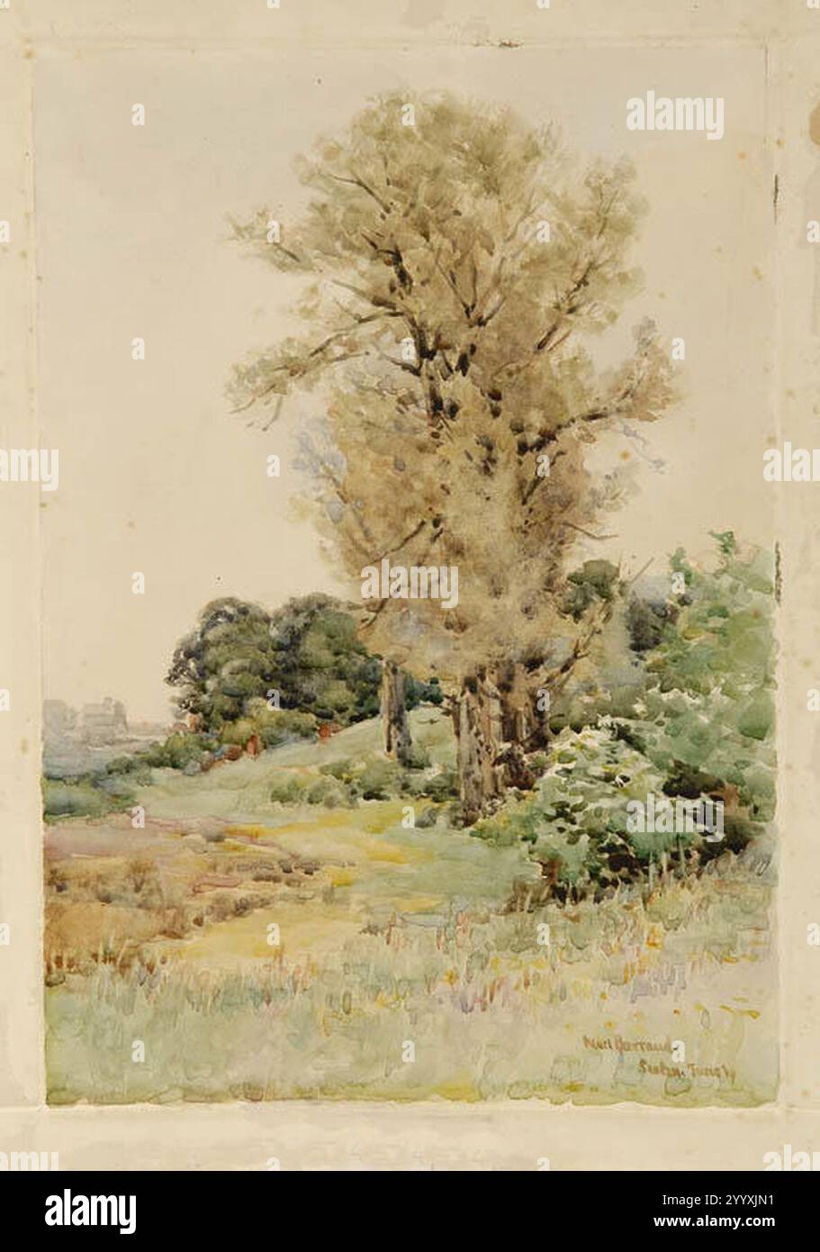 Edward noel barraud hi-res stock photography and images - Alamy