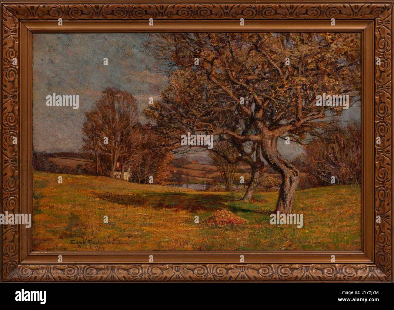 Hayden parker hi-res stock photography and images - Alamy