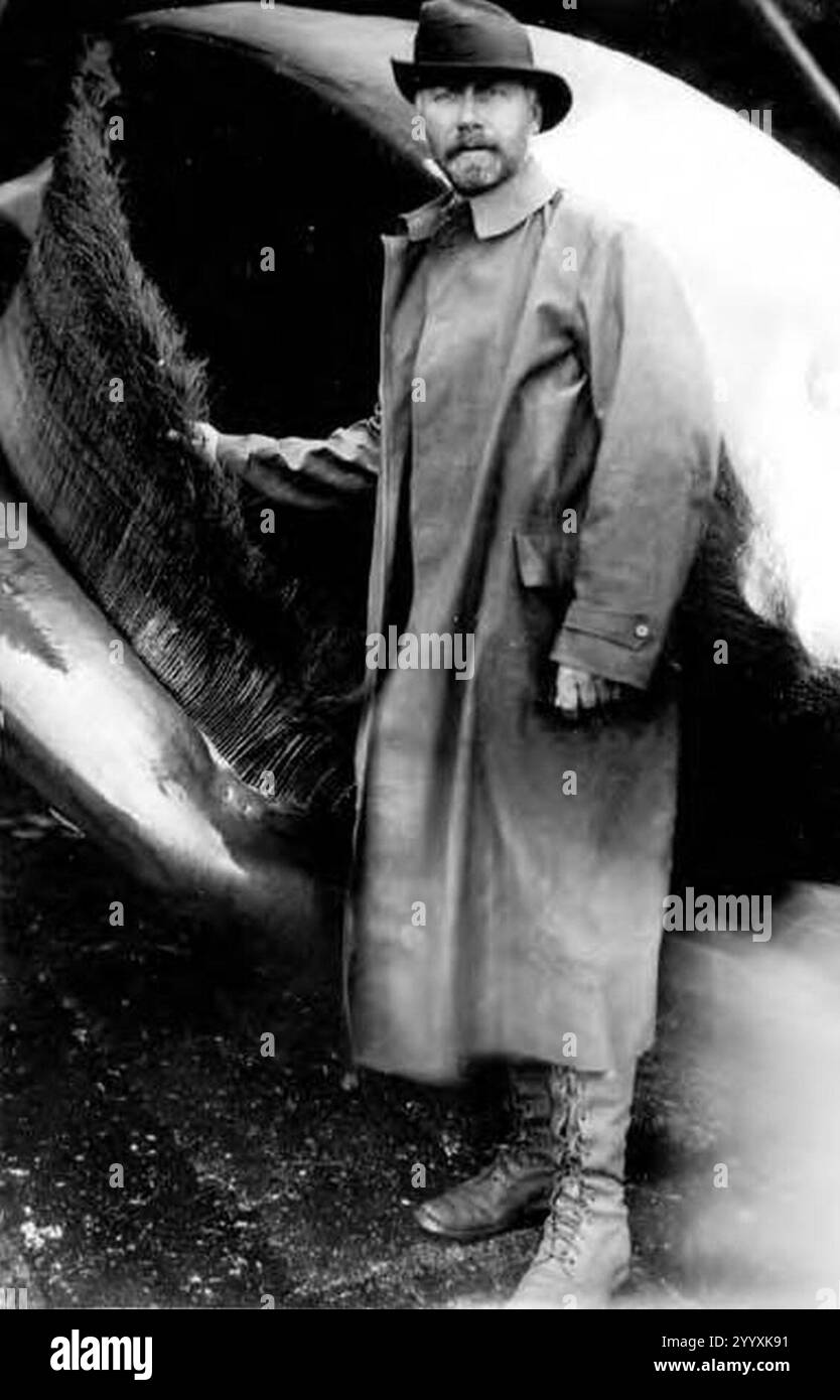 Edward S Curtis in a self-portrait, standing with baleen whale, 1914 ...