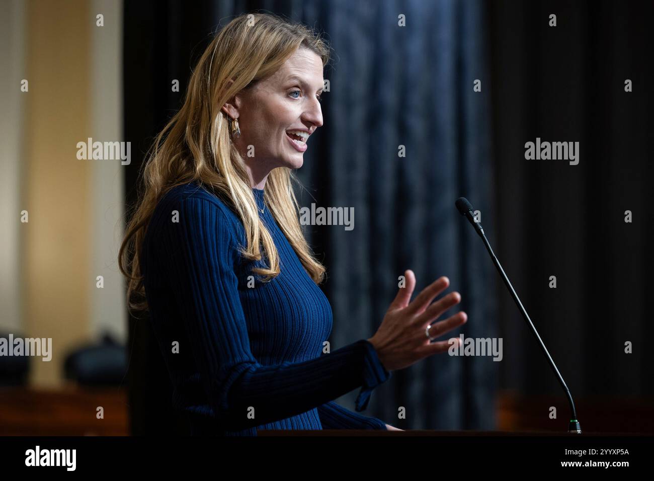 Virginia Maloney, candidate for New York City Council, speaks during a ...