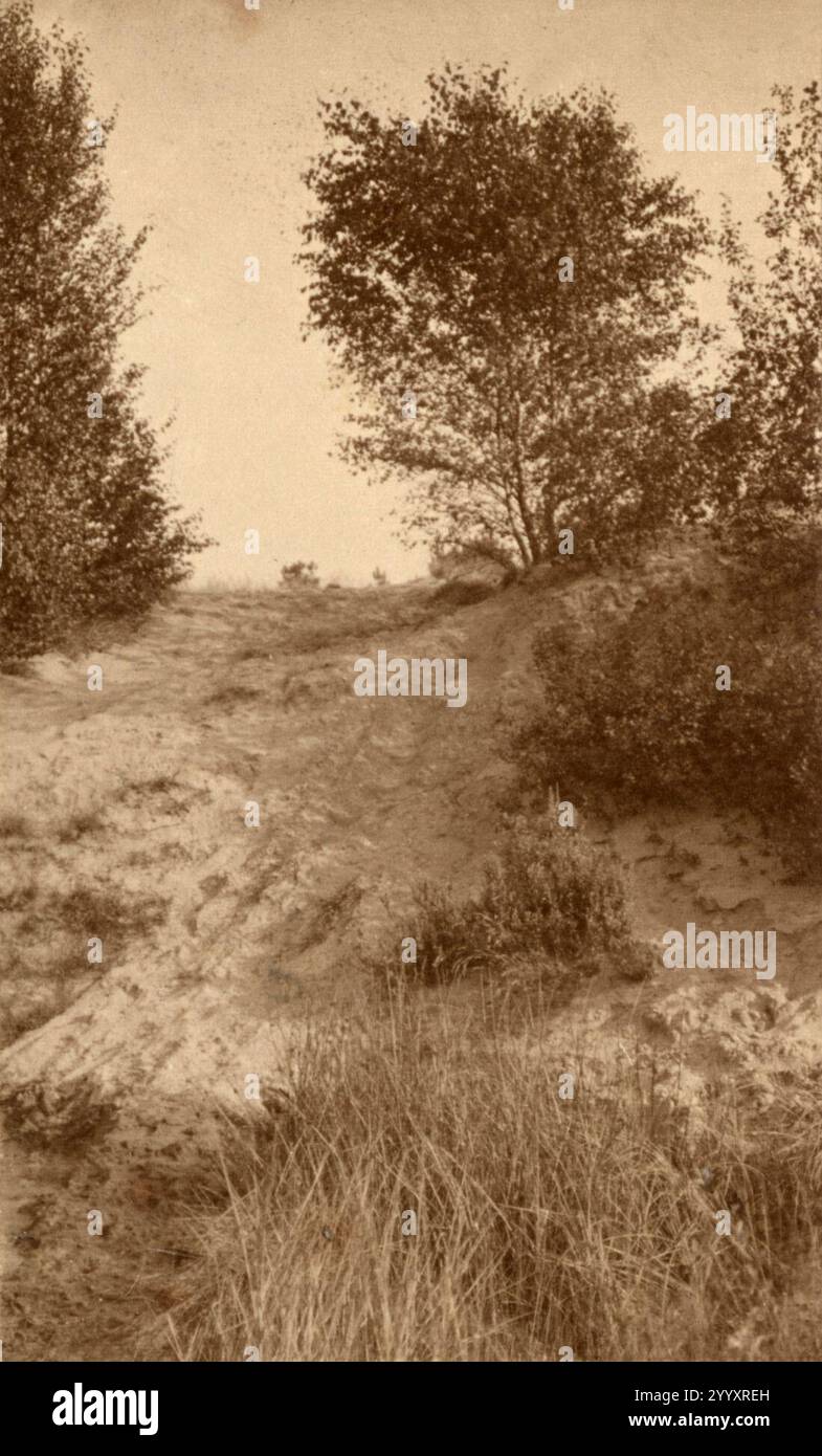 Een pad in een zandverstuiving of duin met grassen en bomen Stock Photo ...