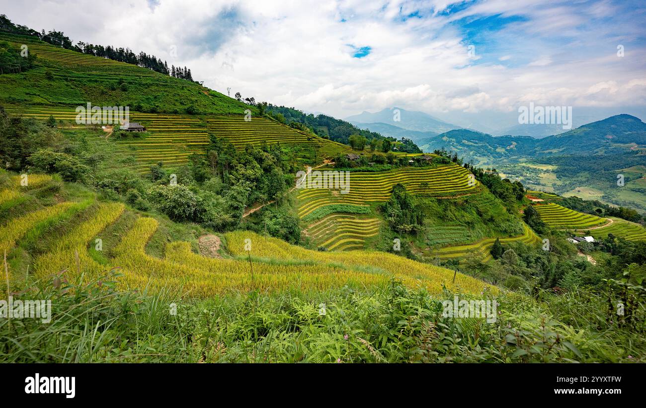 Landscape with green and yellow rice terraced fields and cloudy sky in ...