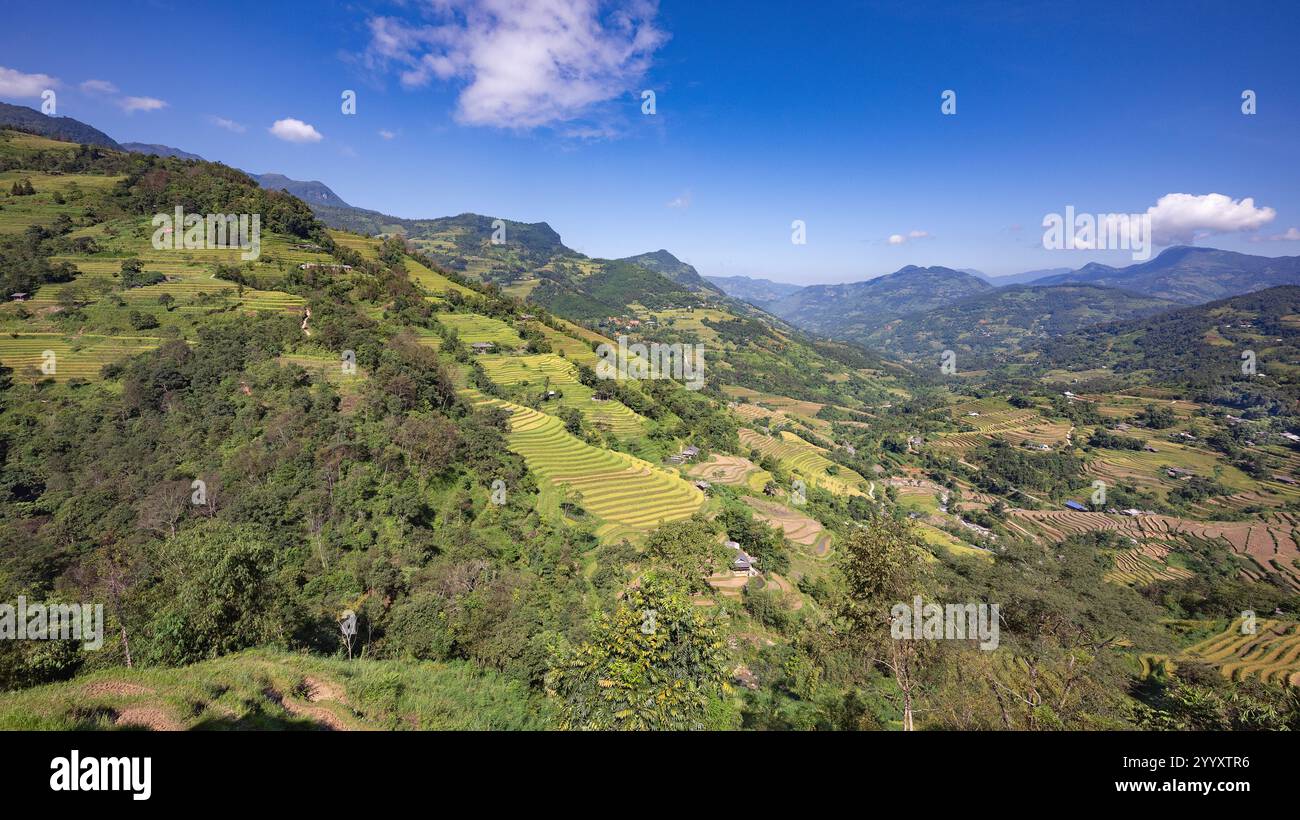 Landscape with green and yellow rice terraced fields and cloudy sky in ...