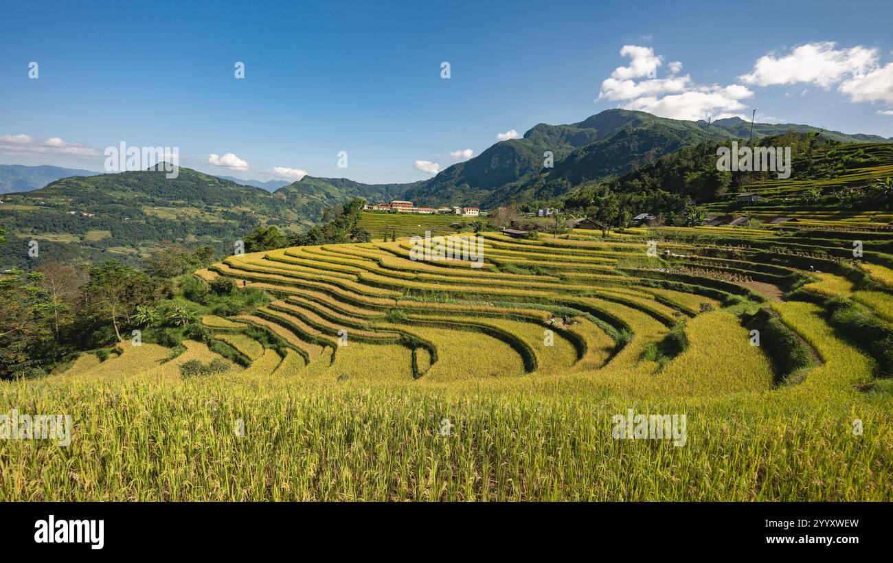 Landscape with green and yellow rice terraced fields and cloudy sky in ...
