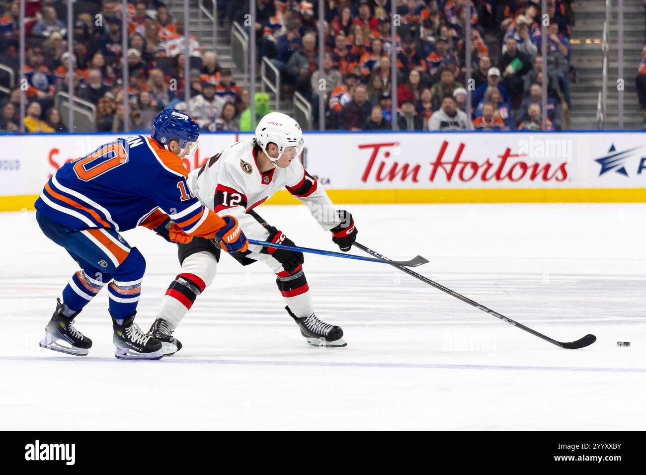 Ottawa Senators' Shane Pinto (12) battles for the puck against Edmonton ...
