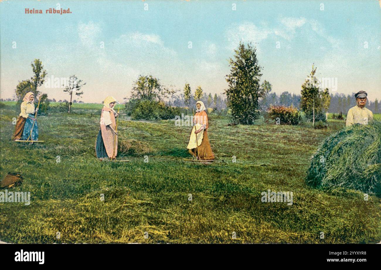 Eesti tüübid, heina riibujad Stock Photo - Alamy