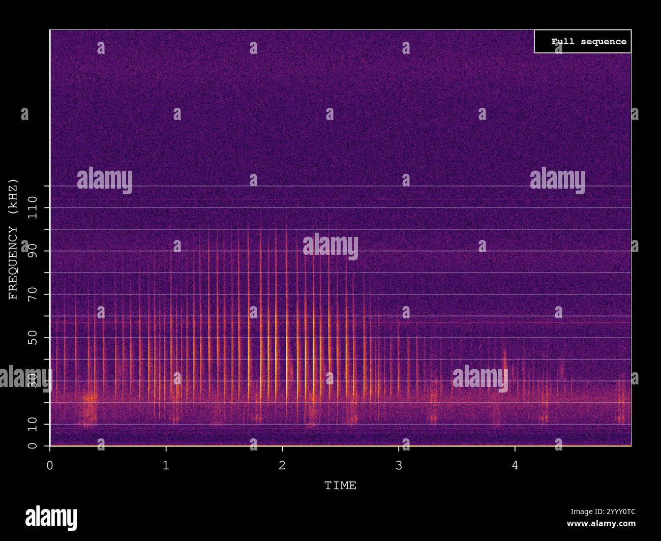 Natterer's Bat (Myotis nattereri Stock Photo - Alamy