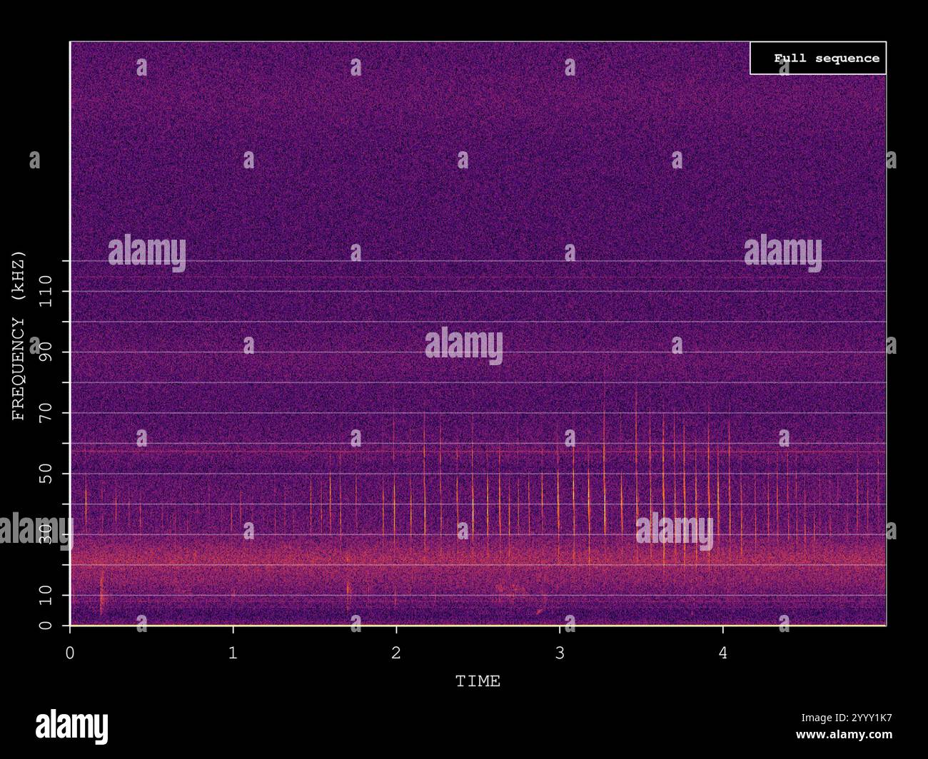 Daubenton's bat (Myotis daubentonii Stock Photo - Alamy