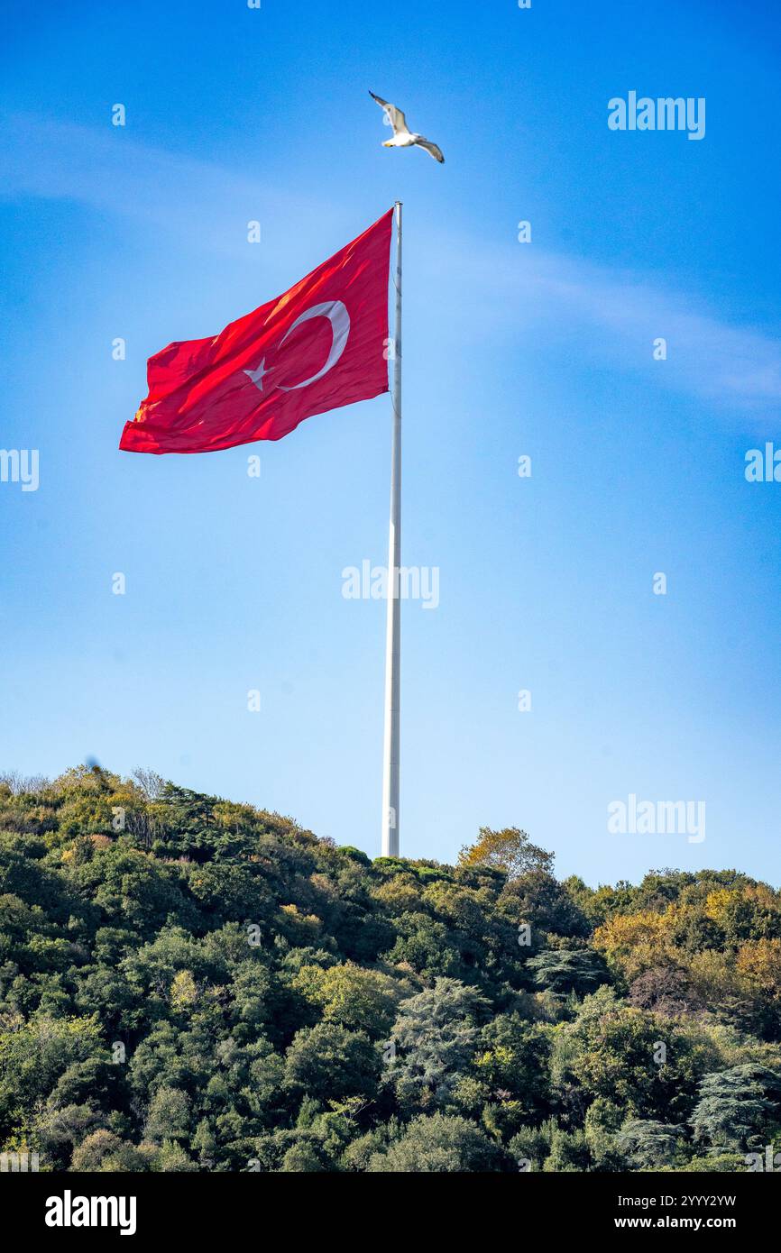 Istanbul, TR - Oct 23, 2024 A large Turkish flag with a red background ...