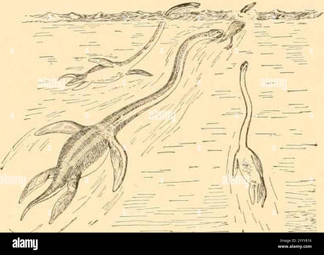 Elasmosaurus trio hunting Hesperornis, from Osborn, H. F. (1917). The ...