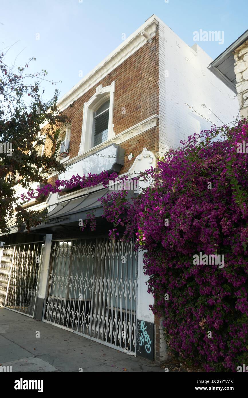 Los Angeles, California, USA 21st December 2024 Actor Wheeler Oakman ...