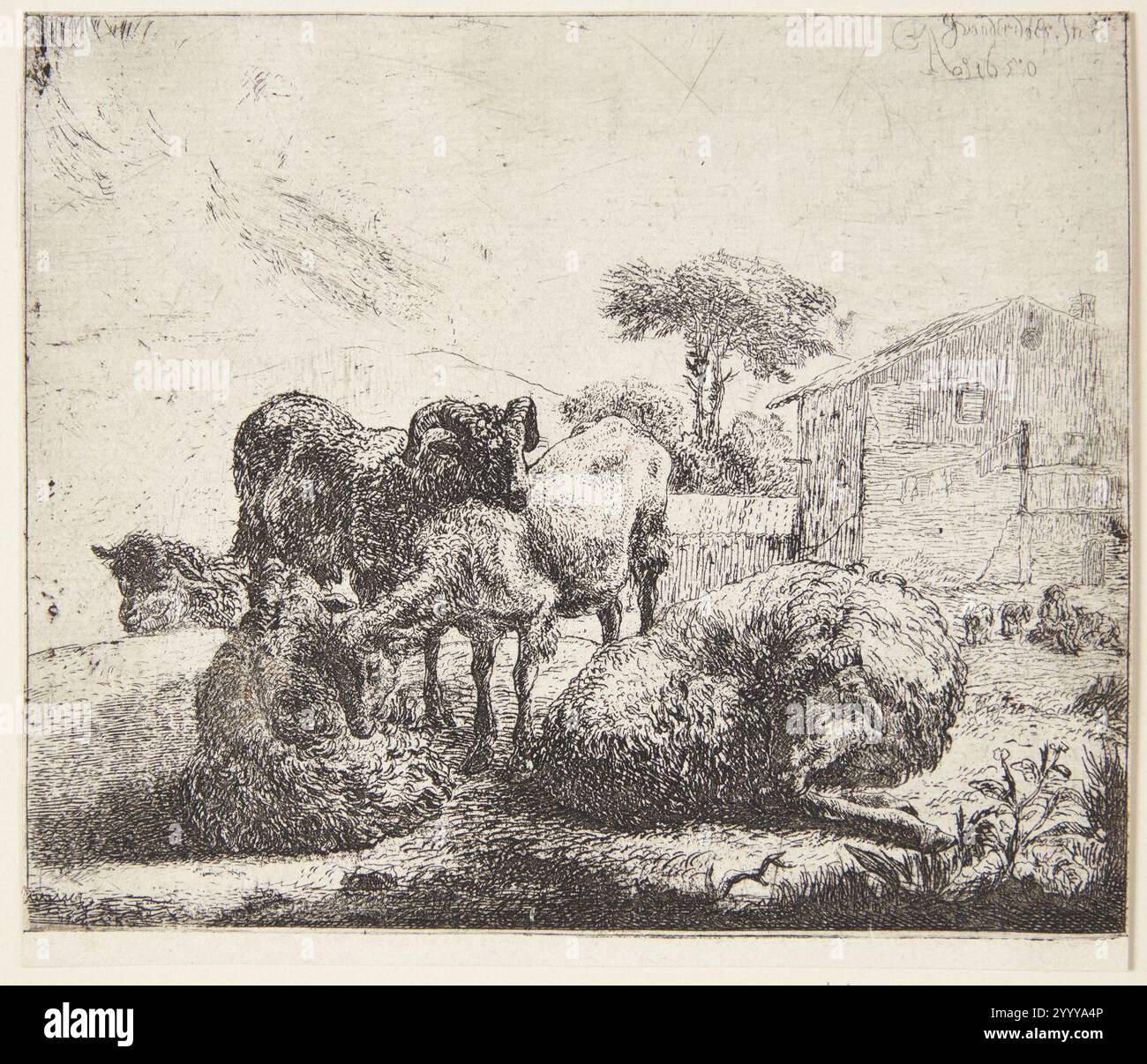 Jacob van der Does dÆ, Fem får, 1650 Stock Photo - Alamy