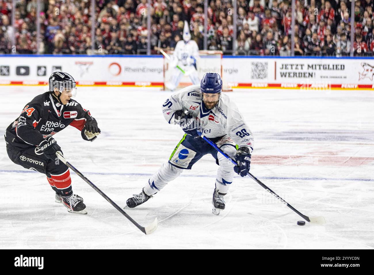 Justin Scott (Straubing Tigers, #20) vs Elias Lindner (Koelner Haie ...