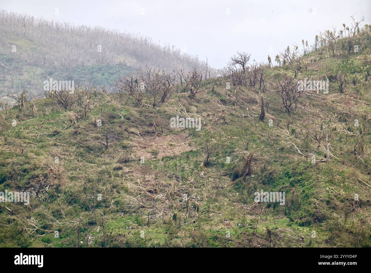 Cyclone Chido impact in Mayotte island indian ocean december 2024 Stock ...