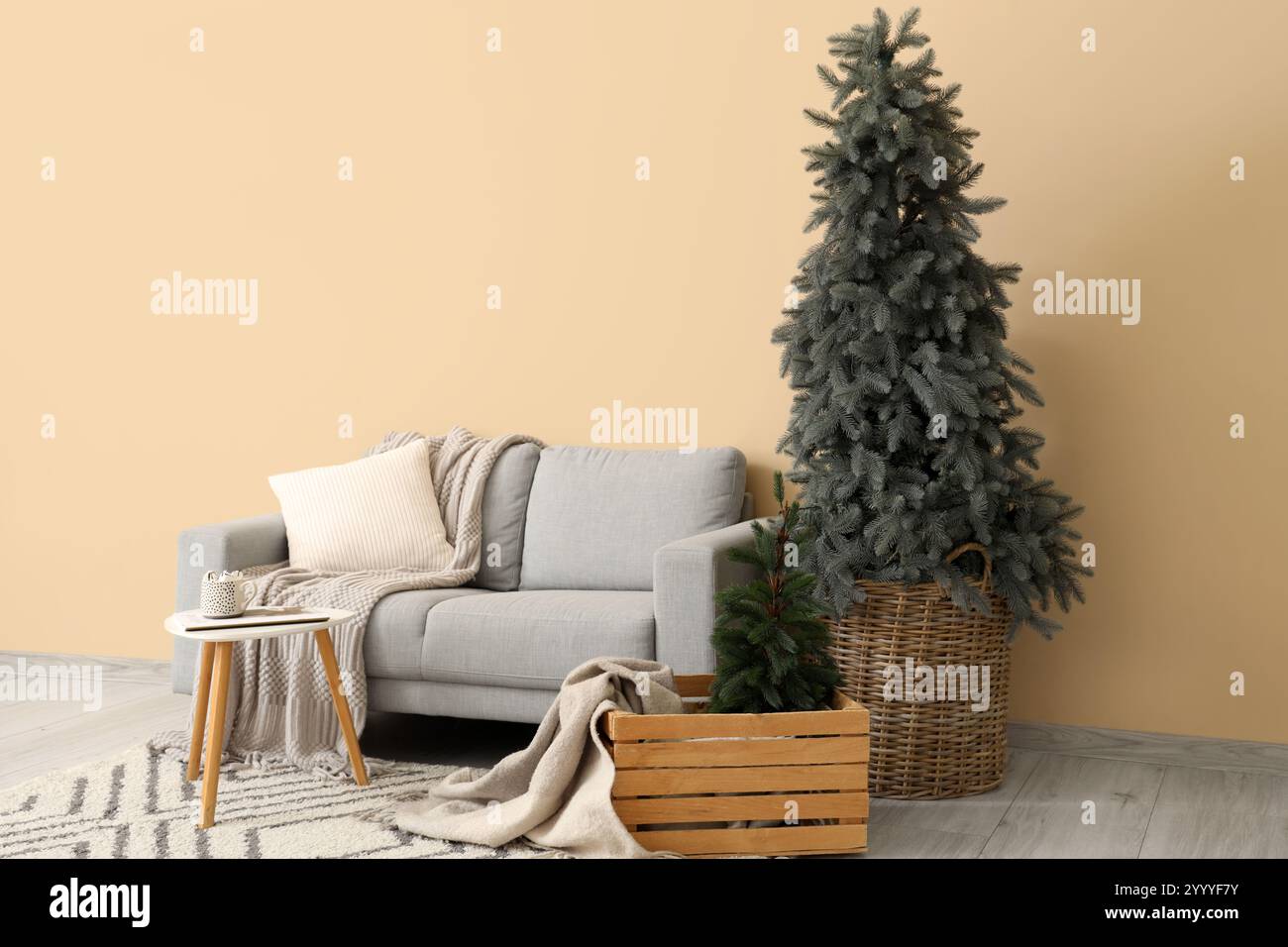 Comfortable sofa and Christmas trees near color wall Stock Photo - Alamy