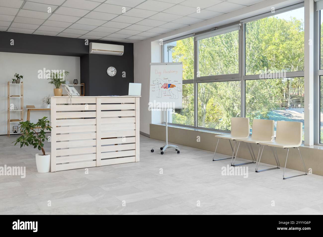 Veterinary clinic reception hi-res stock photography and images - Alamy