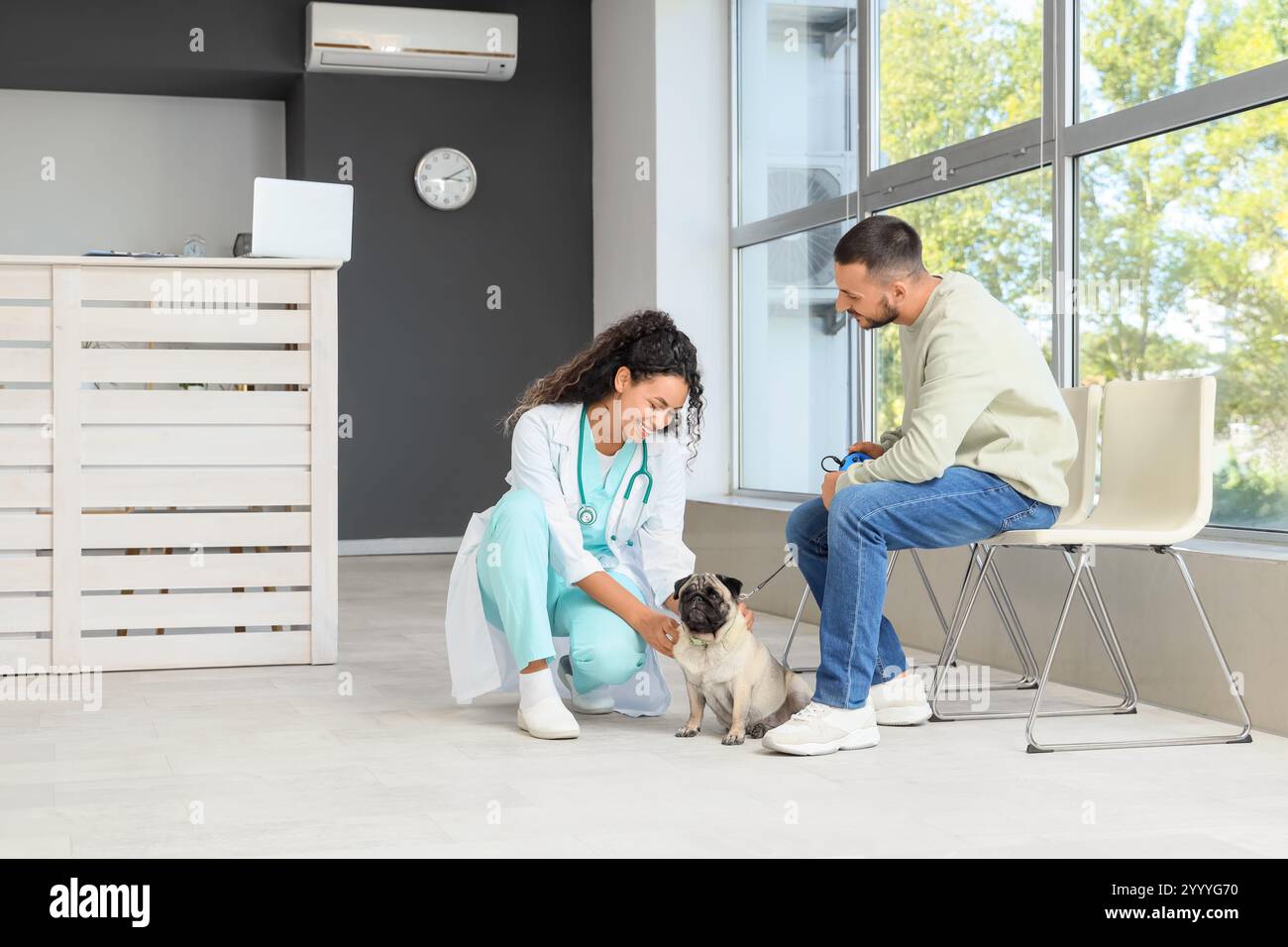Female African-American veterinarian with owner and pug dog in hall of ...