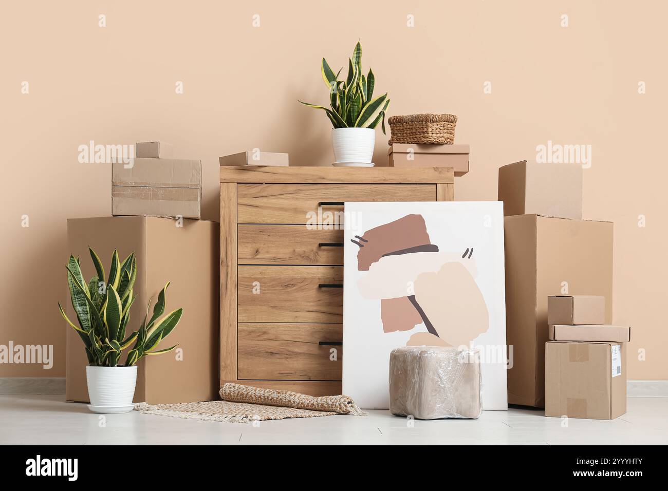 New living room interior with chest of drawers, houseplants and ...