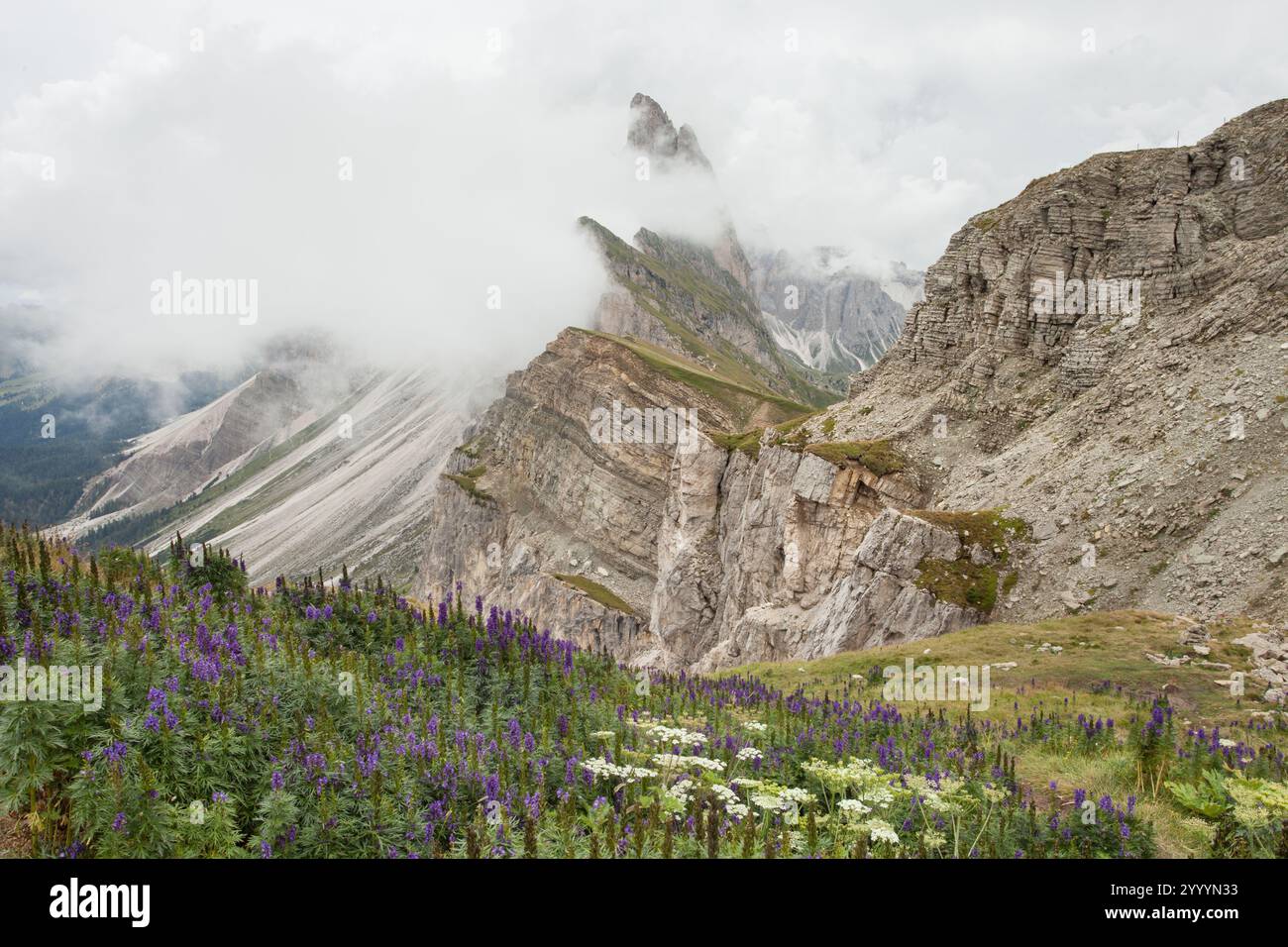 view of the Seceda area in the Italian Dolomites Stock Photo - Alamy