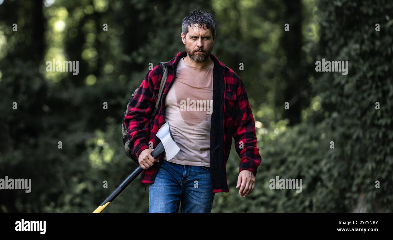 Canadian Forest In Hatchet
