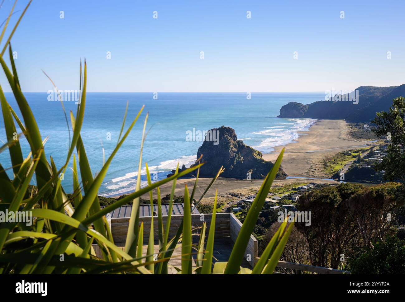 Native NZ flax framing the view of Lion Rock at Piha Beach. Waitakere ...