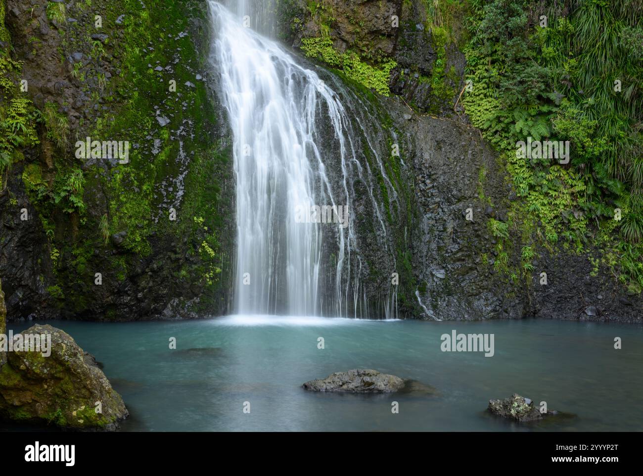 Kitekite Falls. Waitakere Ranges Regional Park. Auckland Stock Photo ...