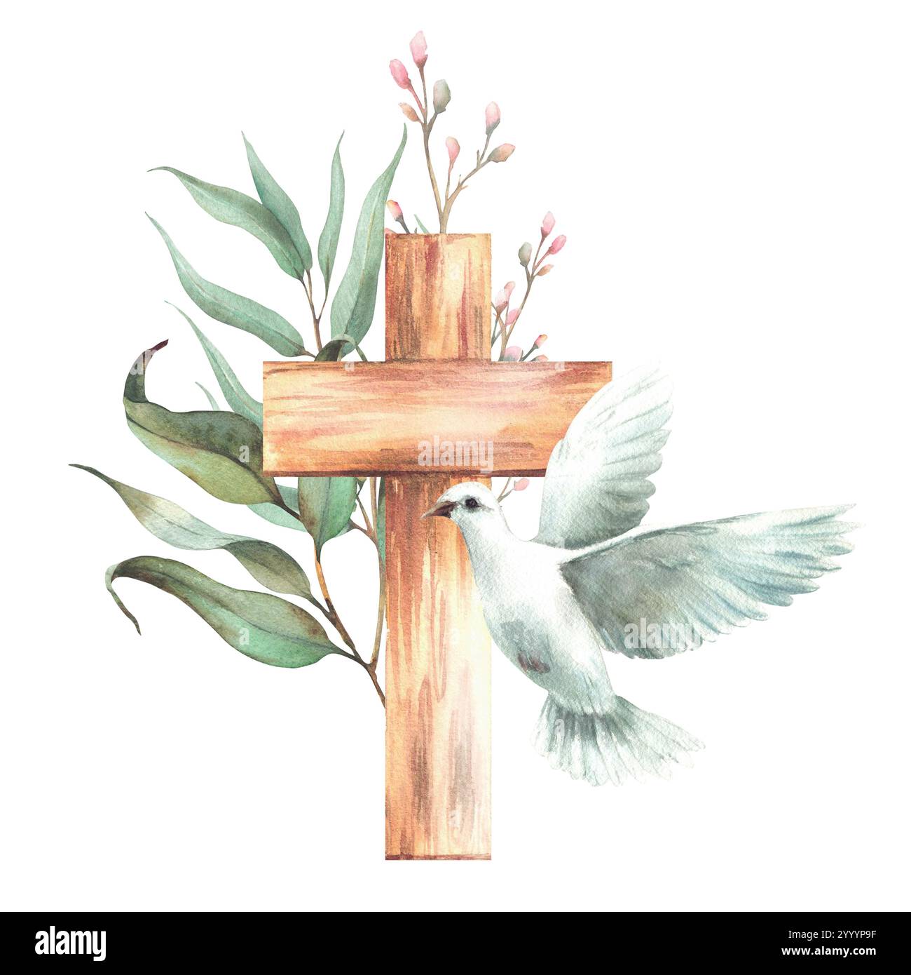 Watercolor dove hi-res stock photography and images - Alamy