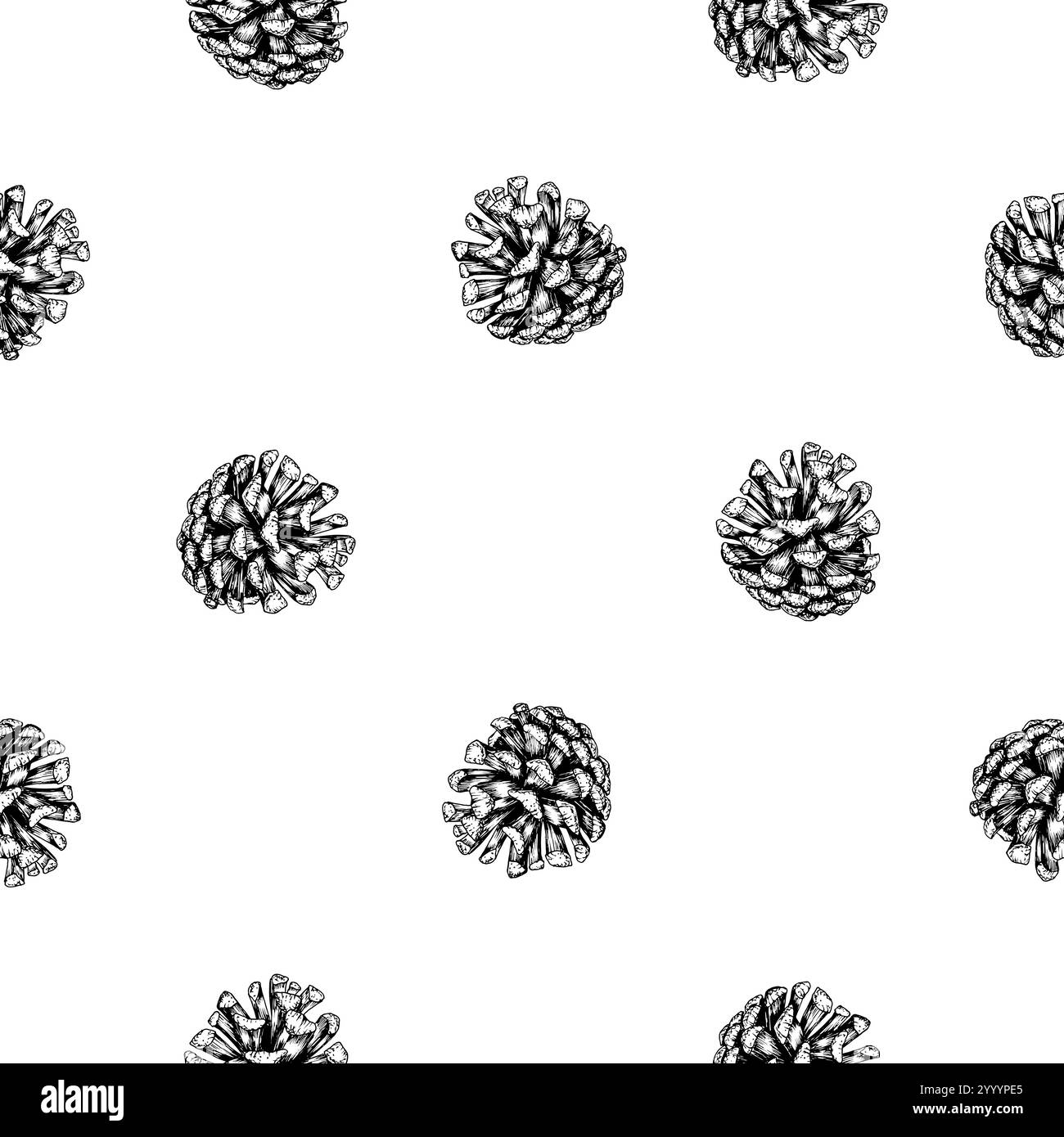 Pine, fir, cedar cone, spruce apple. Vector seamless pattern hand drawn ...