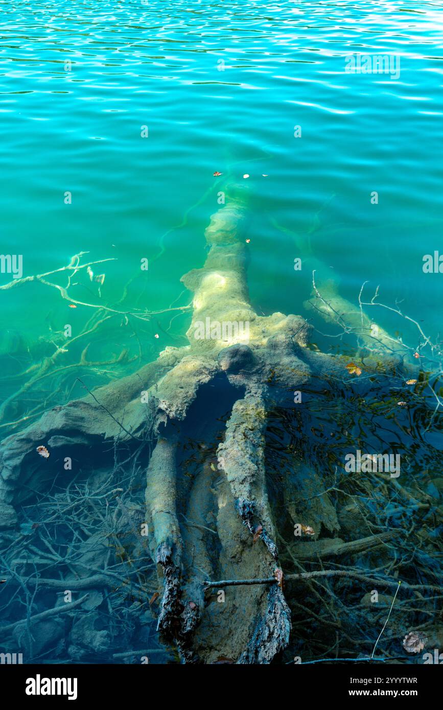 Lake water surface. The tranquil transparent waters of lake in the ...