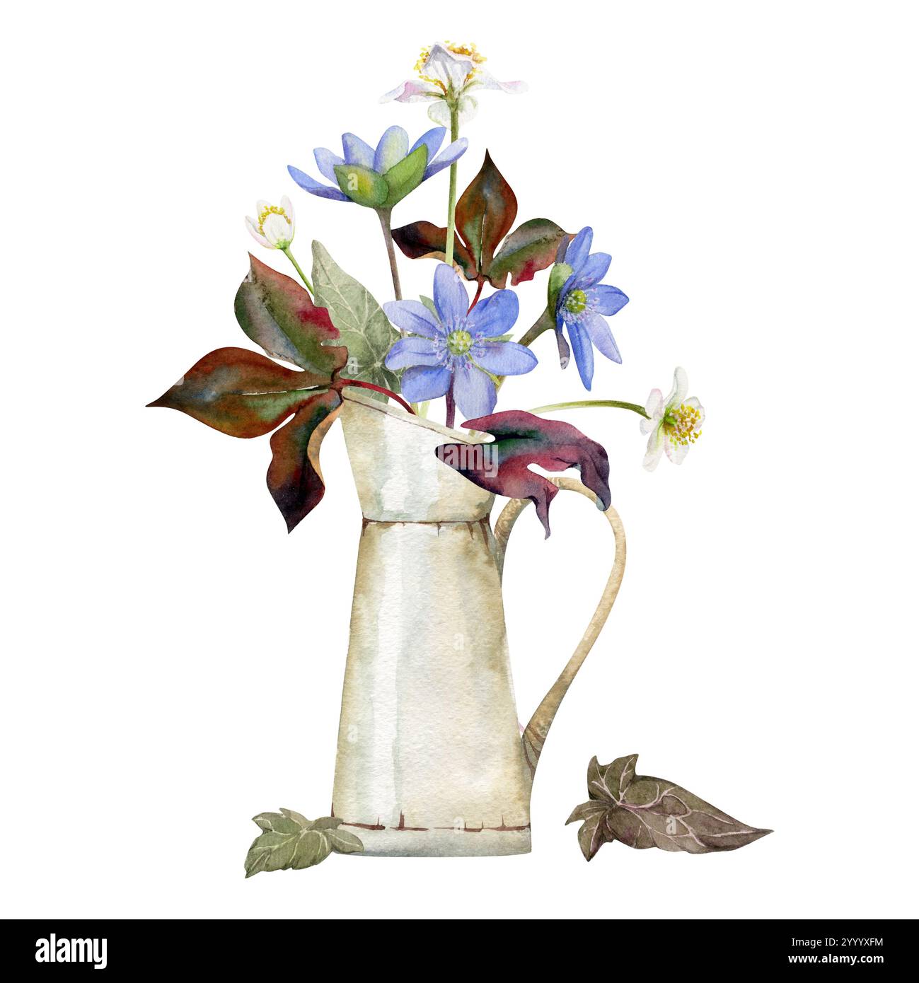Spring ephemera flowers, white forest anemone primrose bloodroot, blue ...