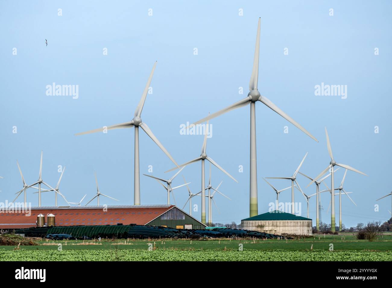 Norden, Lower Saxony, Germany - Wind turbines, wind farm near Norden in ...