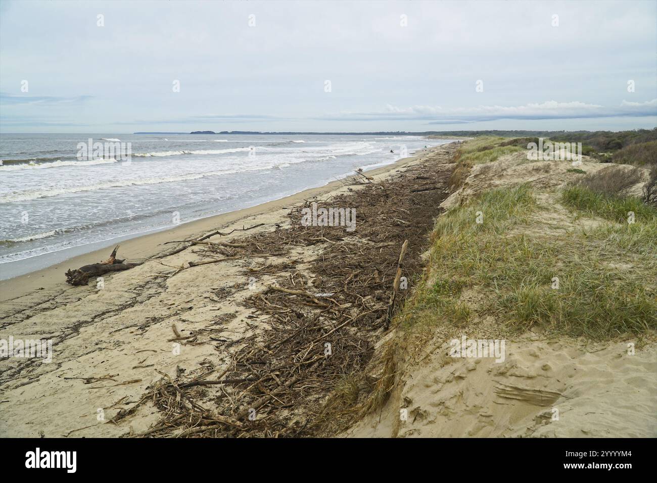 View along a debris strewn beach after a severe weather event. Includes ...