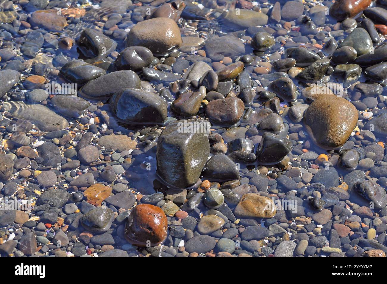 Assortment of large rocks and pebbles in the tidal zone on a rocky ...